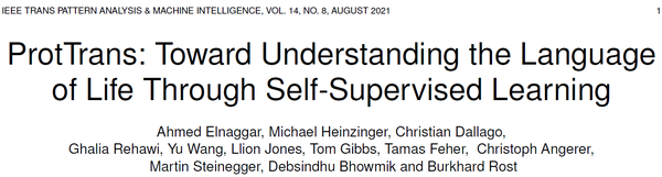 [论文总结] ProtTrans：Toward Understanding the Language of Life Through Self-Supervised Learning - 知乎