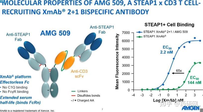 前列腺癌新靶点：STEAP1 - 知乎