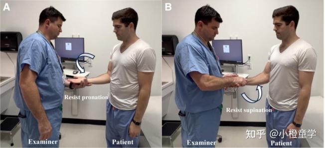 用力过猛易受伤！肱二头肌长头腱撕裂的诊断与治疗 - 知乎