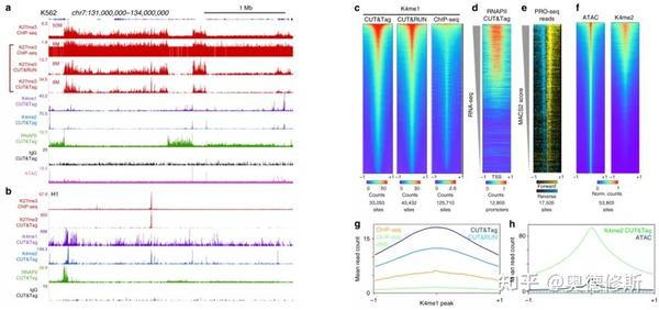 CUT&Tag3.0——让Chip-seq再简单一点！ - 知乎