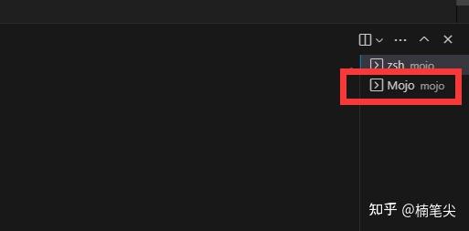 如何在Windows平台VSCode搭建Mojo🔥开发环境 - 知乎