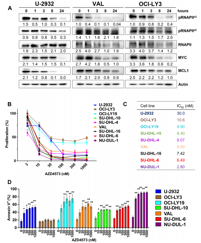 Molecular Cancer|CDK9抑制诱导表观遗传重编程，揭示了规避淋巴瘤耐药性的策略 - 知乎