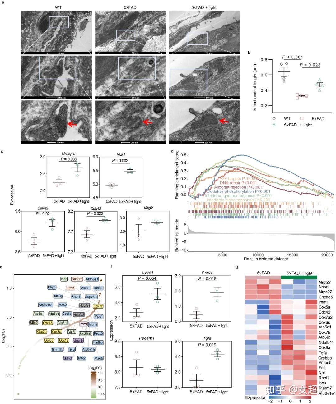 Nat Commun：单细胞转录组测序揭示脑膜淋巴管的非侵入性调控可改善小鼠的衰老和阿尔茨海默氏病相关的病理和认知提升 - 知乎