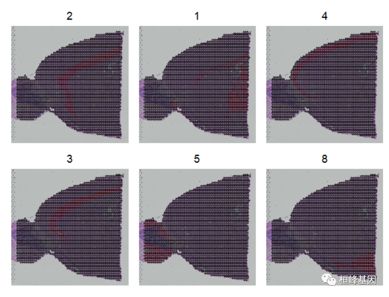 SCS【21】单细胞空间转录组可视化 (Seurat V5) - 知乎