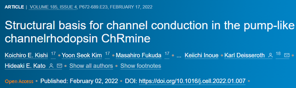 小布解读 | 光敏蛋白还能如此全能？ChRmine全系列各有所长 - 知乎