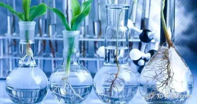 一文带您了解美国生物奥林匹克竞赛（BIO USACN）！ - 知乎