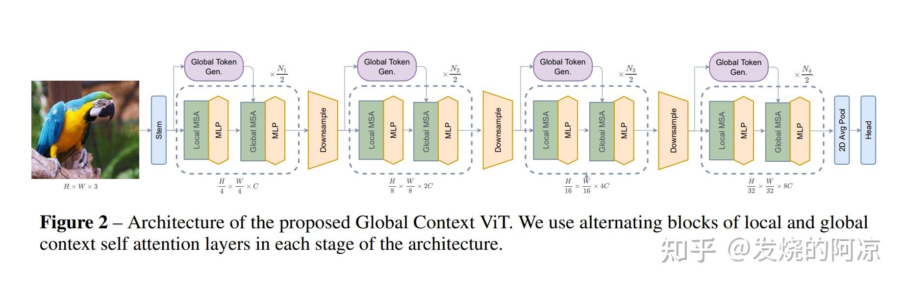 【ARXIV2206】Global Context Vision Transformers - 知乎