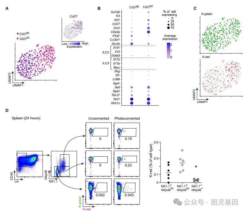 Sci Immu | 哈佛院士解析免疫细胞从肠道迁移的动态图谱 - 知乎