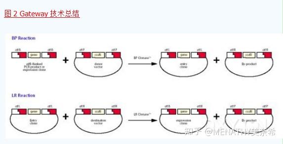 不懂gateway，都不好意思说自己学过分子 - 知乎