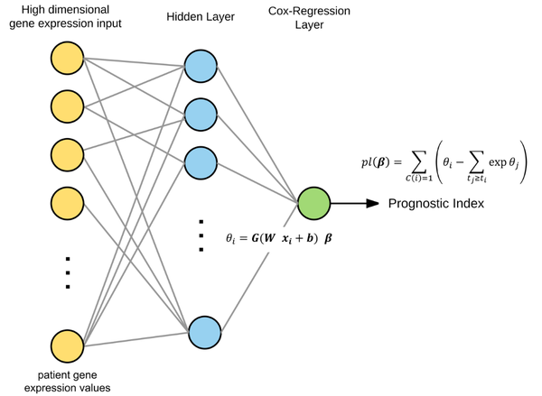 生存分析系列|资料不满足Cox假设？试试Cox-nnet - 知乎