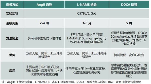 高血压研究必备工具之动物模型 - 知乎