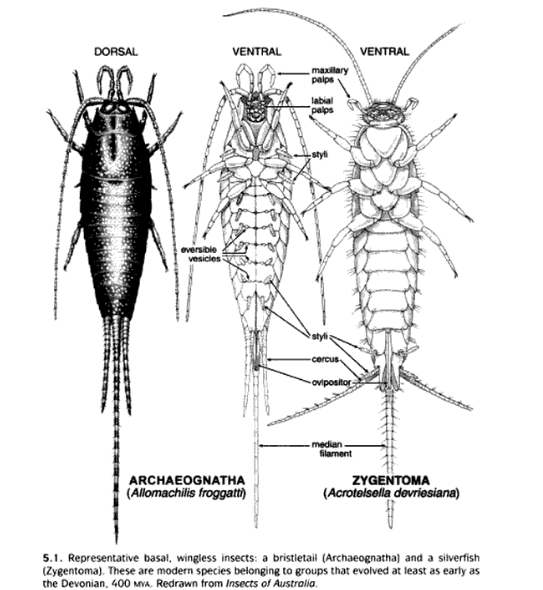 【地球演义】六足传奇3：穿隅过隙 - 知乎