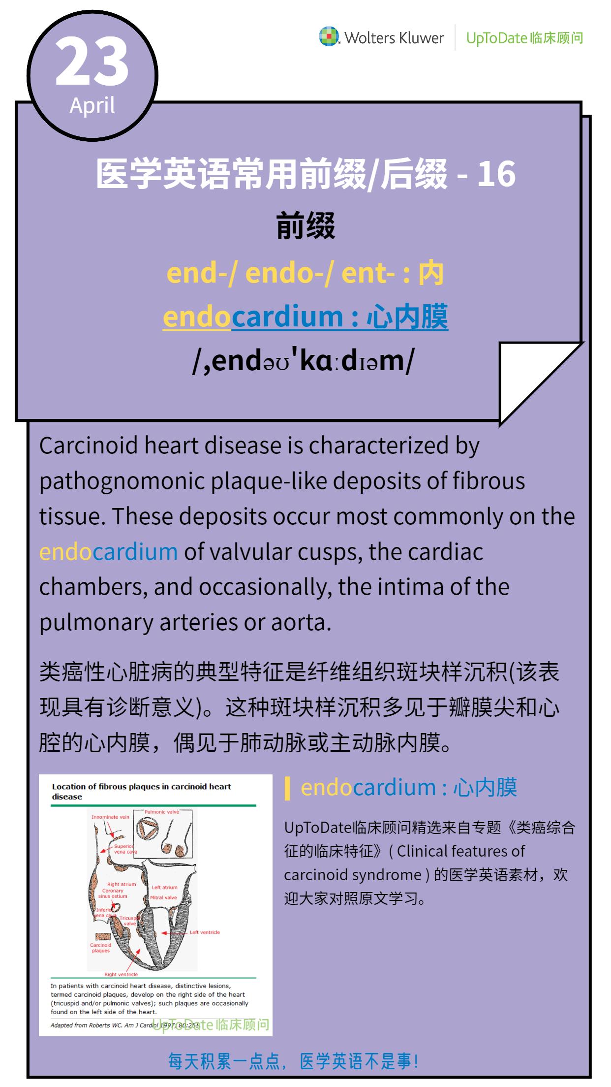医学英语打卡｜4-23｜前缀 end-/ endo-/ ent- - 知乎