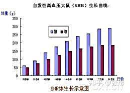 自发性高血压大鼠SHR Rats ·超全面详细资料 - 知乎