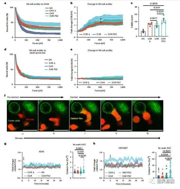 Nat Biotech | 突触调节的CARs增强免疫细胞抗肿瘤活性 - 知乎