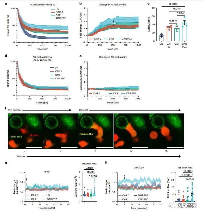 Nat Biotech | 突触调节的CARs增强免疫细胞抗肿瘤活性 - 知乎