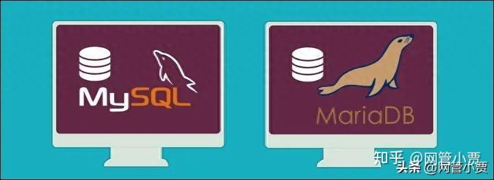 【快速全面掌握 WAMPServer】07.整明白 MySQL 和 MariaDB - 知乎