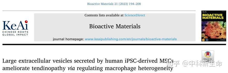 项目文章Bioactive Materials (IF 16.874) | 肌腱病疼痛难忍？看细胞外囊泡大显神威！ - 知乎