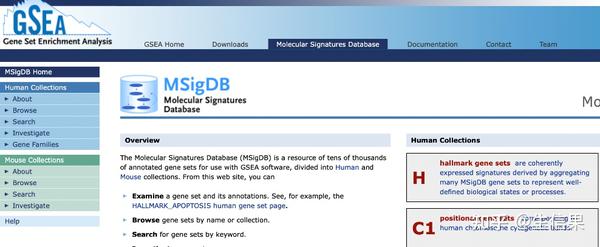 不会使用MSigDB数据库下载数据？快来看这里 - 知乎