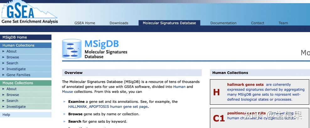 不会使用MSigDB数据库下载数据？快来看这里 - 知乎