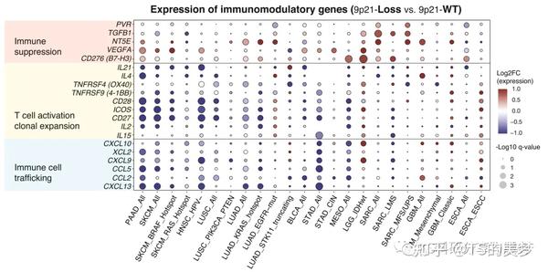复现NC图表：ggplot气泡图展示基因表达量|多种组合图展示分组 - 知乎