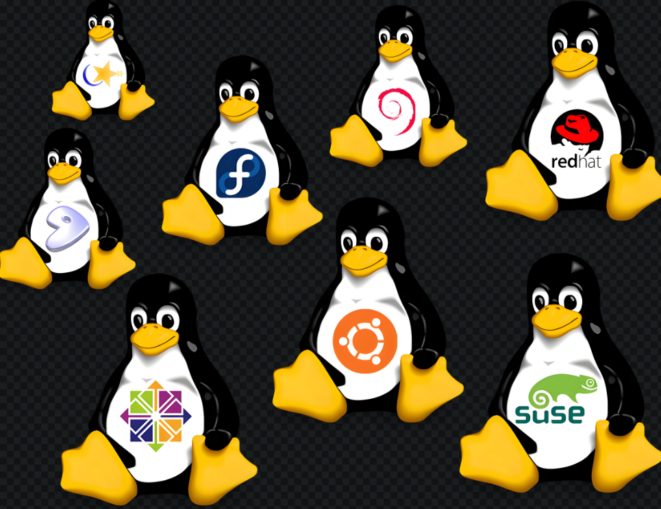 使用 ip addr add 命令管理网络接口 IP 地址 - 知乎