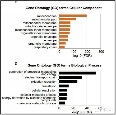 Go（Gene Ontology） analysis——“生信分析”基础四 - 知乎