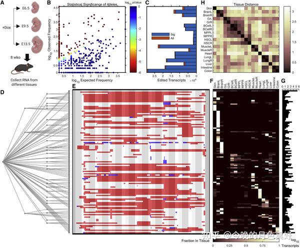 An CRISPR-Cas9 Mouse for Simultaneous Readout of Lineage and Gene ...