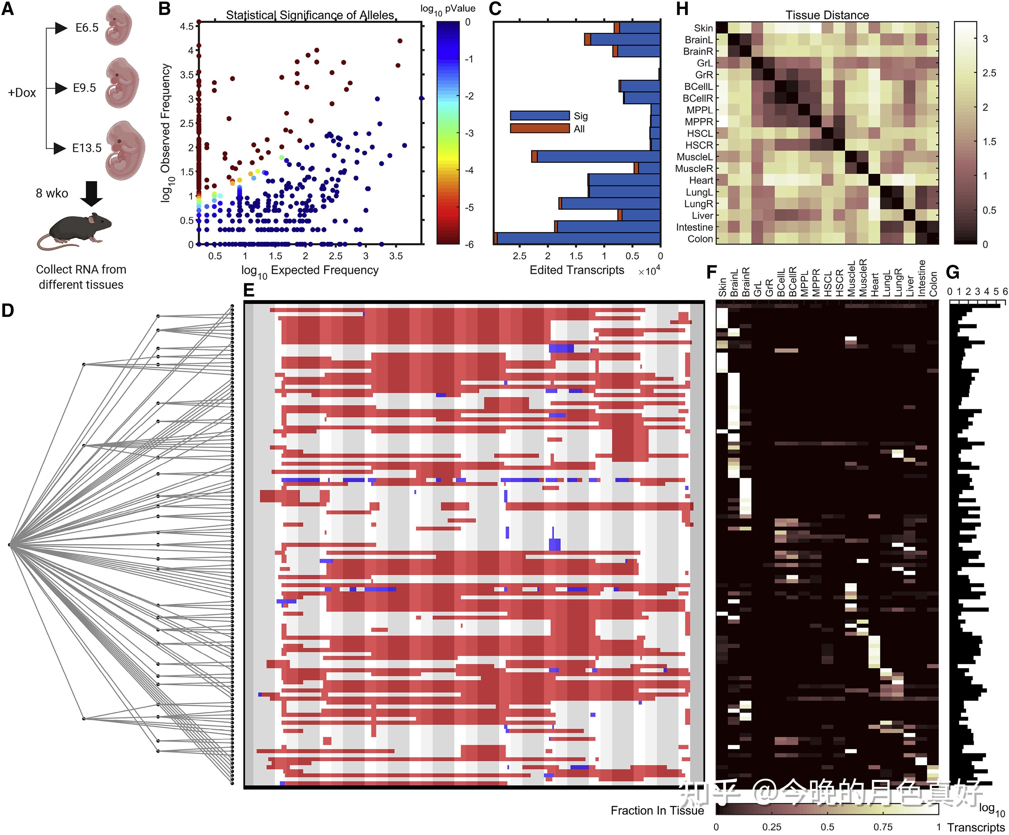 An CRISPR-Cas9 Mouse for Simultaneous Readout of Lineage and Gene Expression in Single Cells - 知乎