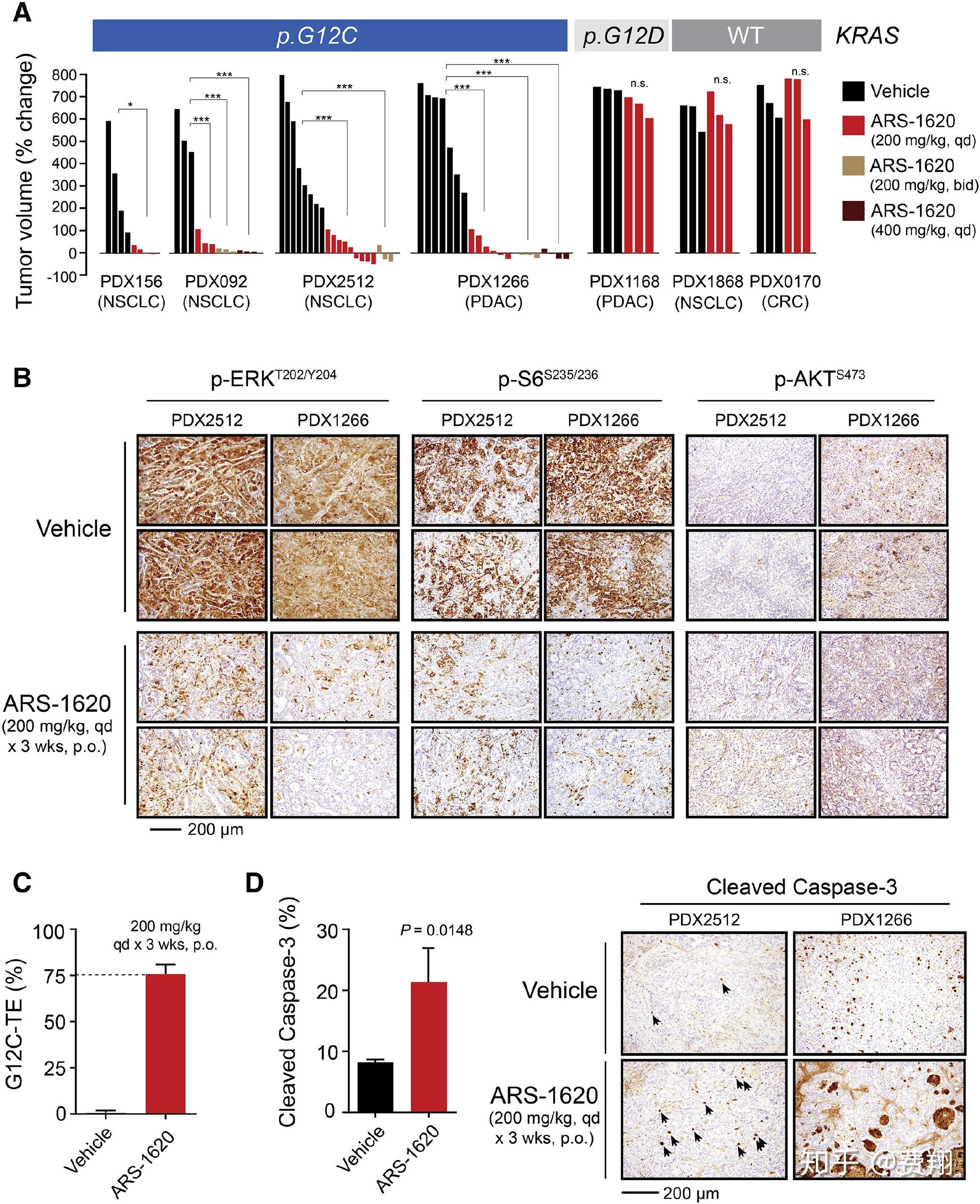 针对K-RAS突变癌症 - 知乎