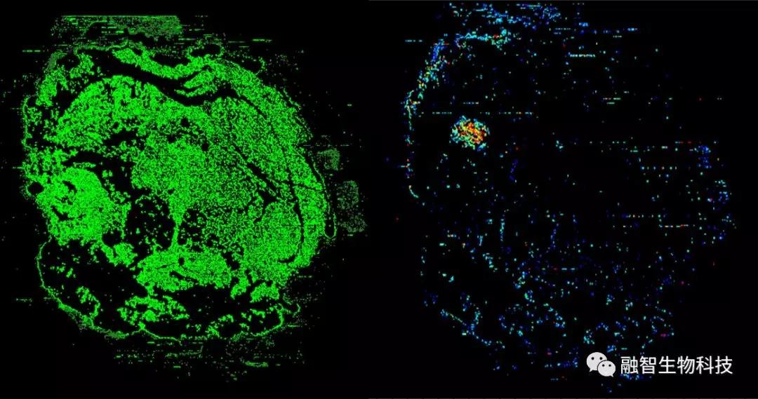 最通俗的质谱成像科普 一篇足矣 - 知乎