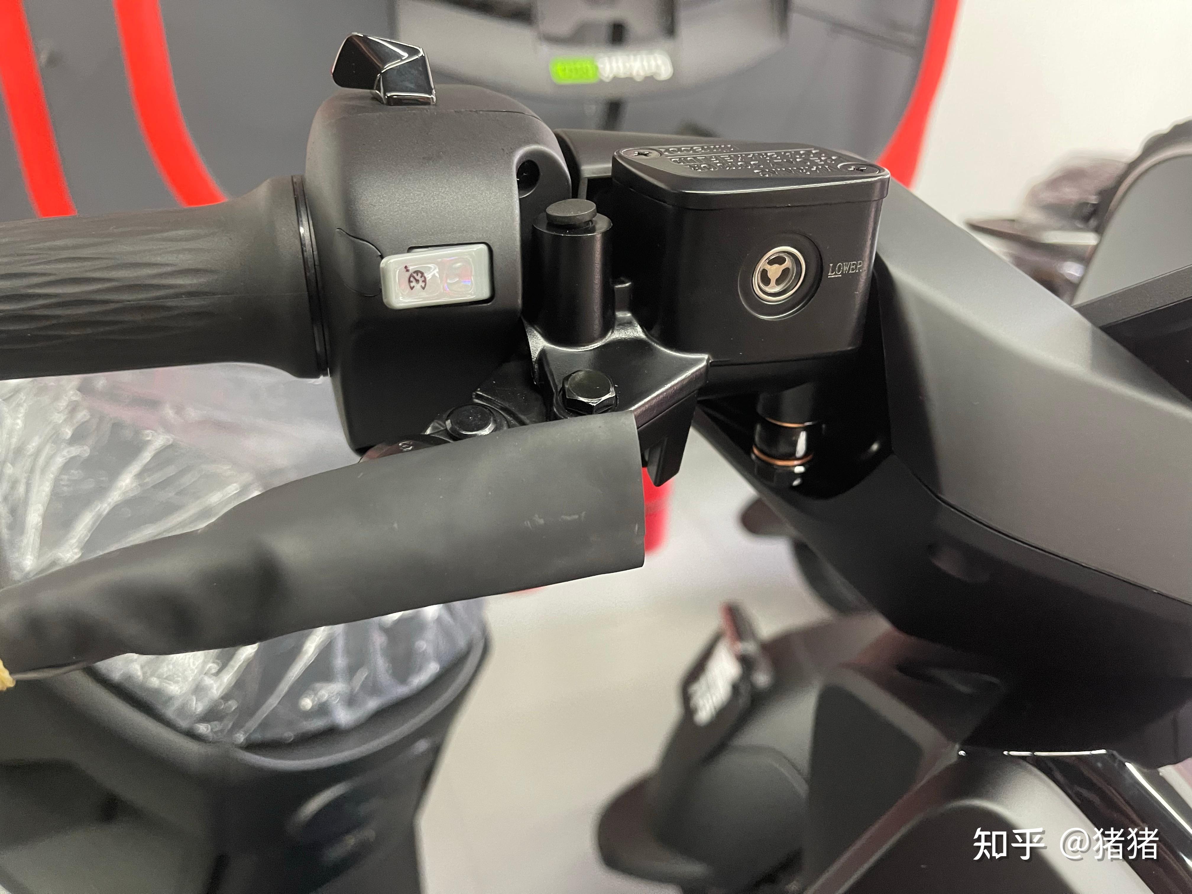 2023九号电自天花板dz110p