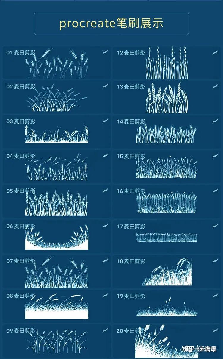乡间田野麦穗麦田麦浪笔刷procreate+PS， 巨好看！！！ - 知乎