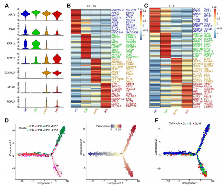 单细胞技术揭示宫颈鳞状细胞癌的发生发展 - 知乎