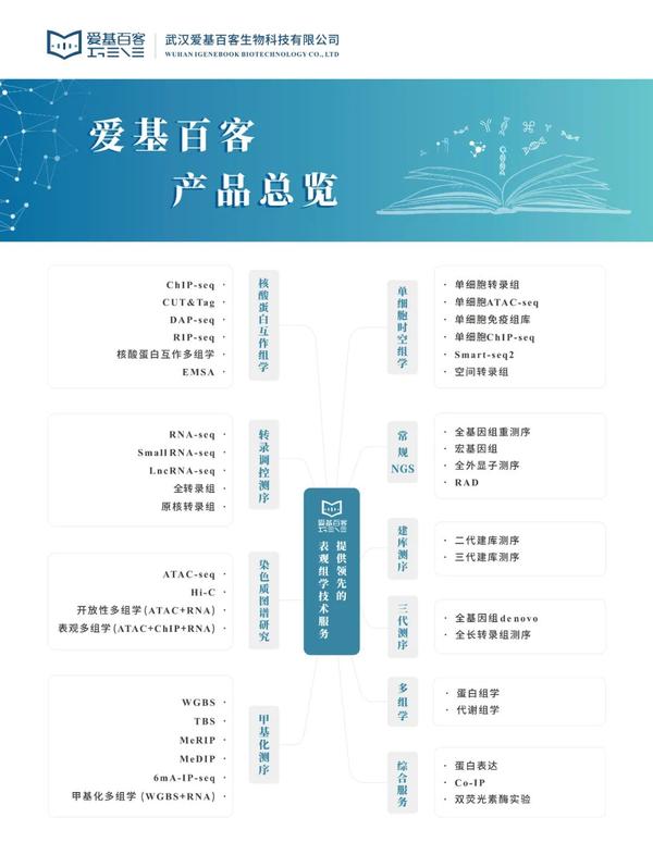 ChIP-seq/DAP-seq/ATAC-seq/CUT&Tag结果可视化-IGV使用攻略 - 知乎