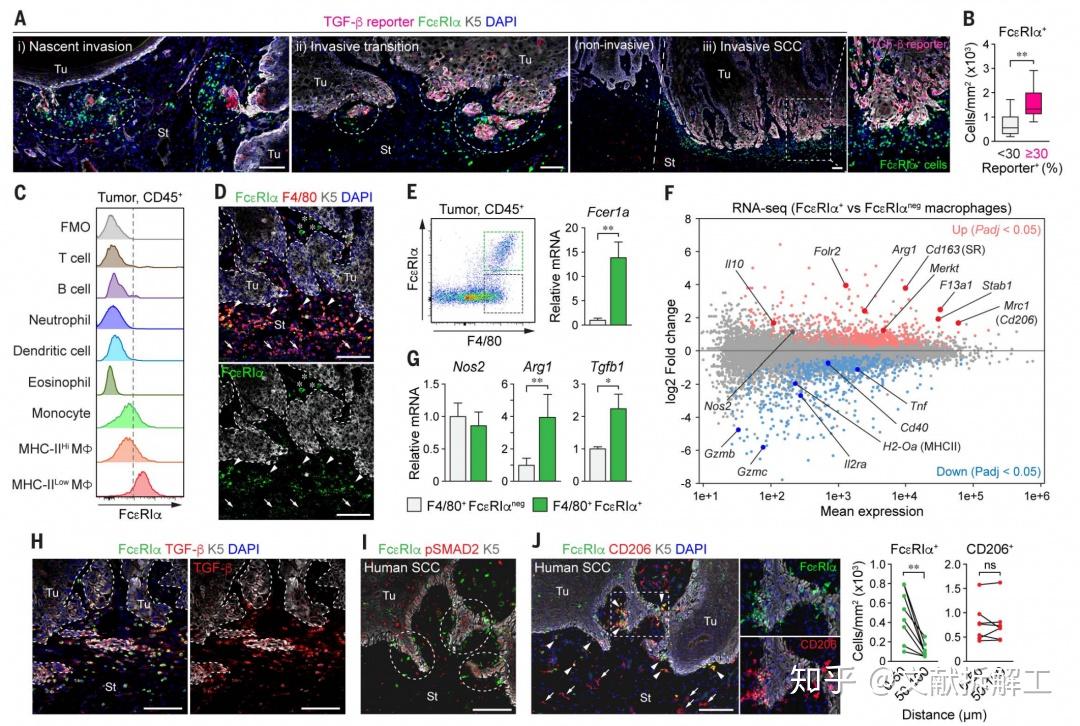 【Science拆解】肿瘤起始细胞（TIC）形成IL-33-TGF-β信号富集的niche促肿瘤进展 - 知乎