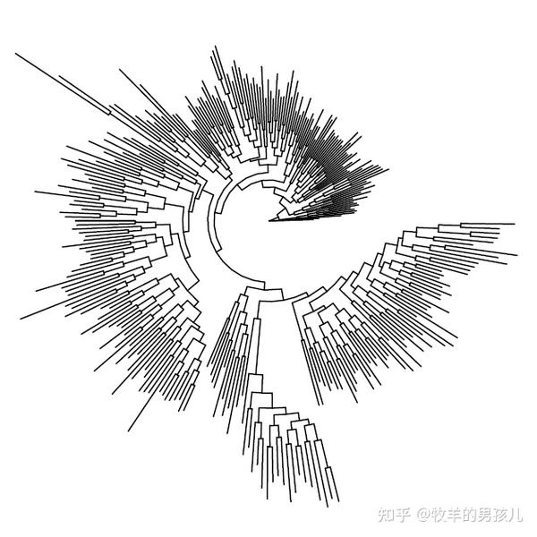 使用iqtree软件利用基因存在缺失变异矩阵（0/1）矩阵构建进化树 - 知乎
