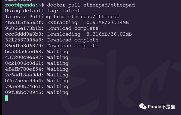 NAS下自建支持中文的实时协作文档编辑器——Etherpad - 知乎