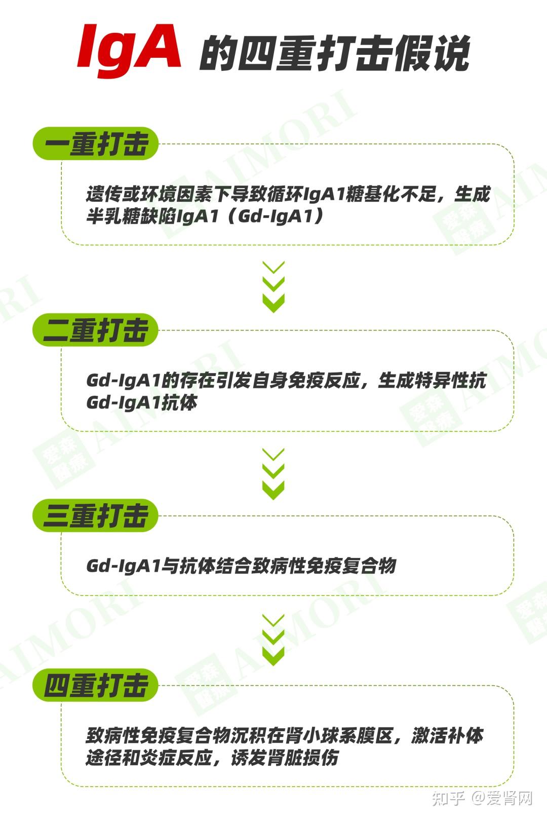 重磅消息！全球首个创新药物耐赋康®在中国获批上市用于治疗IgA肾病 - 知乎