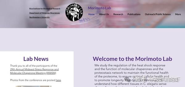 记录 9 种权威的实验protocol查询网站 - 知乎