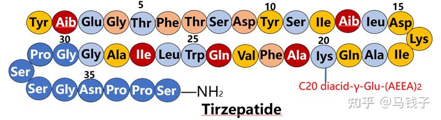 创造奇迹的神药——GLP-1/GIP双受体激动剂替尔泊肽结构-活性浅析（二） - 知乎