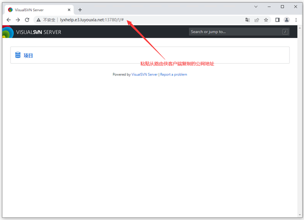 如何访问内网的SVN服务器（图文详解） - 知乎