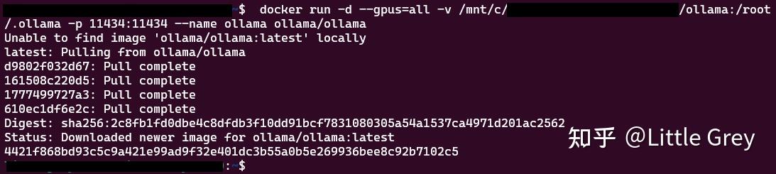 WSL2+Docker部署Ollama+Deepseek-R1+Open-WebUI+Enchanted(ios) - 知乎
