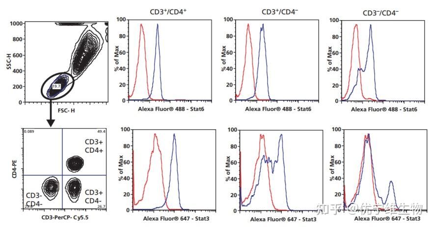 Obesity immune microenvironment肥胖免疫微环境——Cell Based Solution - 知乎