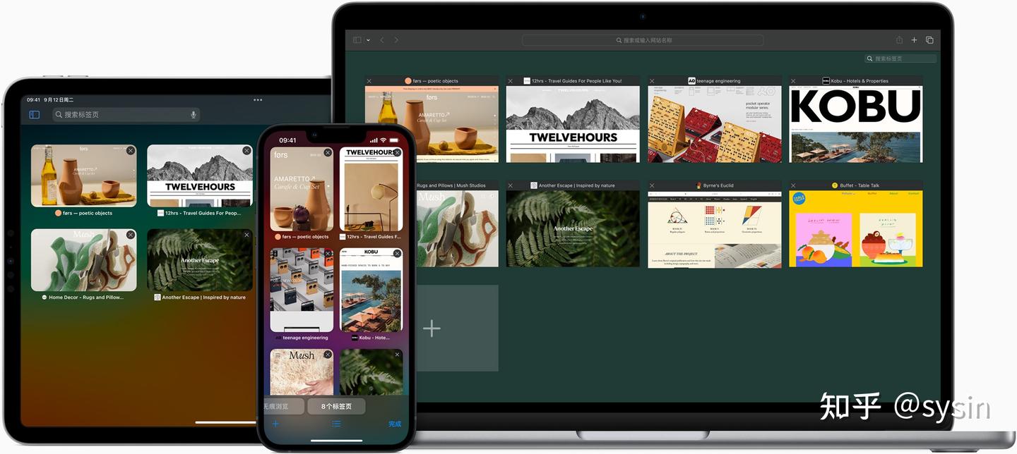 Apple Safari 17.2 - macOS 专属浏览器 (独立安装包下载) - 知乎