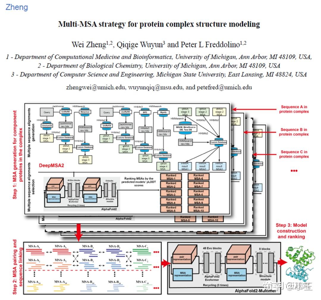 CASP15蛋白结构预测冠军算法浅析 - 知乎
