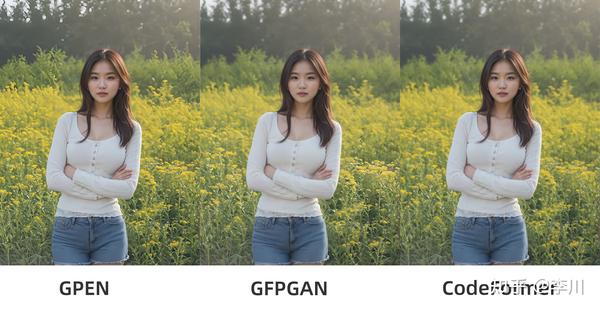 人脸修复哪家强？GPEN，GFPGAN和CodeFormer三大神器对比 - 知乎