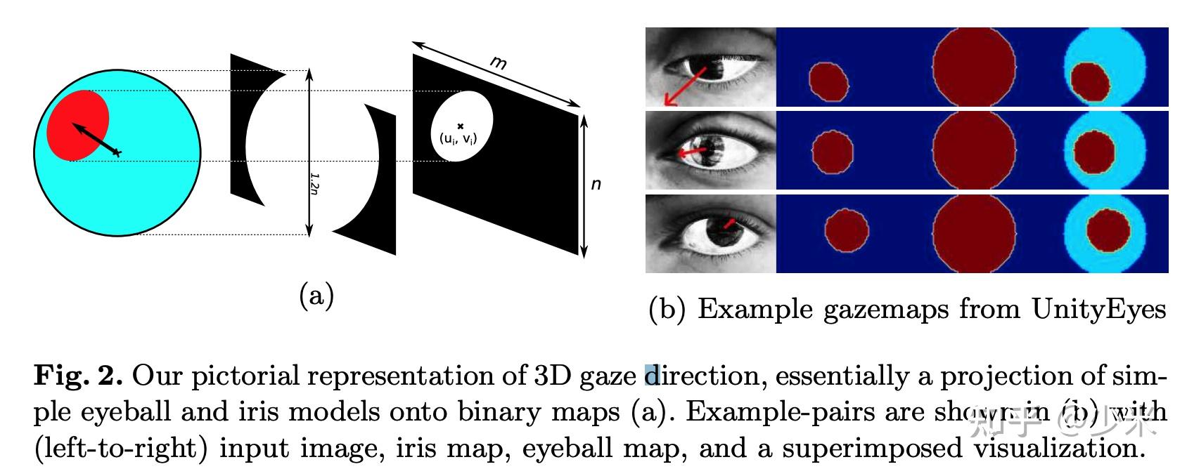 Gaze Estimation论文解读: Deep Pictorial Gaze Estimation - 知乎