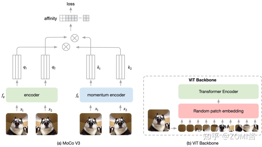 CVPR 2023｜结合特征金字塔结构的自监督学习 iTPNs - 知乎