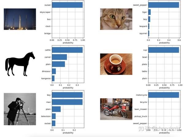 使用PyTorch进行小样本学习的图像分类 - 知乎